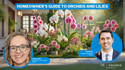 Homeowner’s Guide to Orchids and Lilies US Insurance Agents